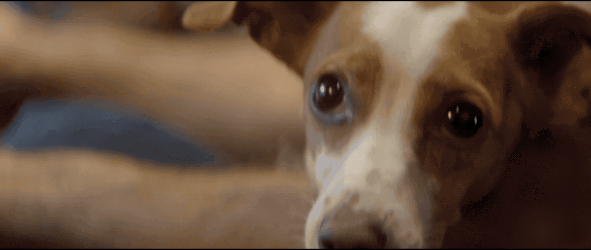 Shannon Lay Shares New Official Video for “A Thread to Find” in Sub Pop ...