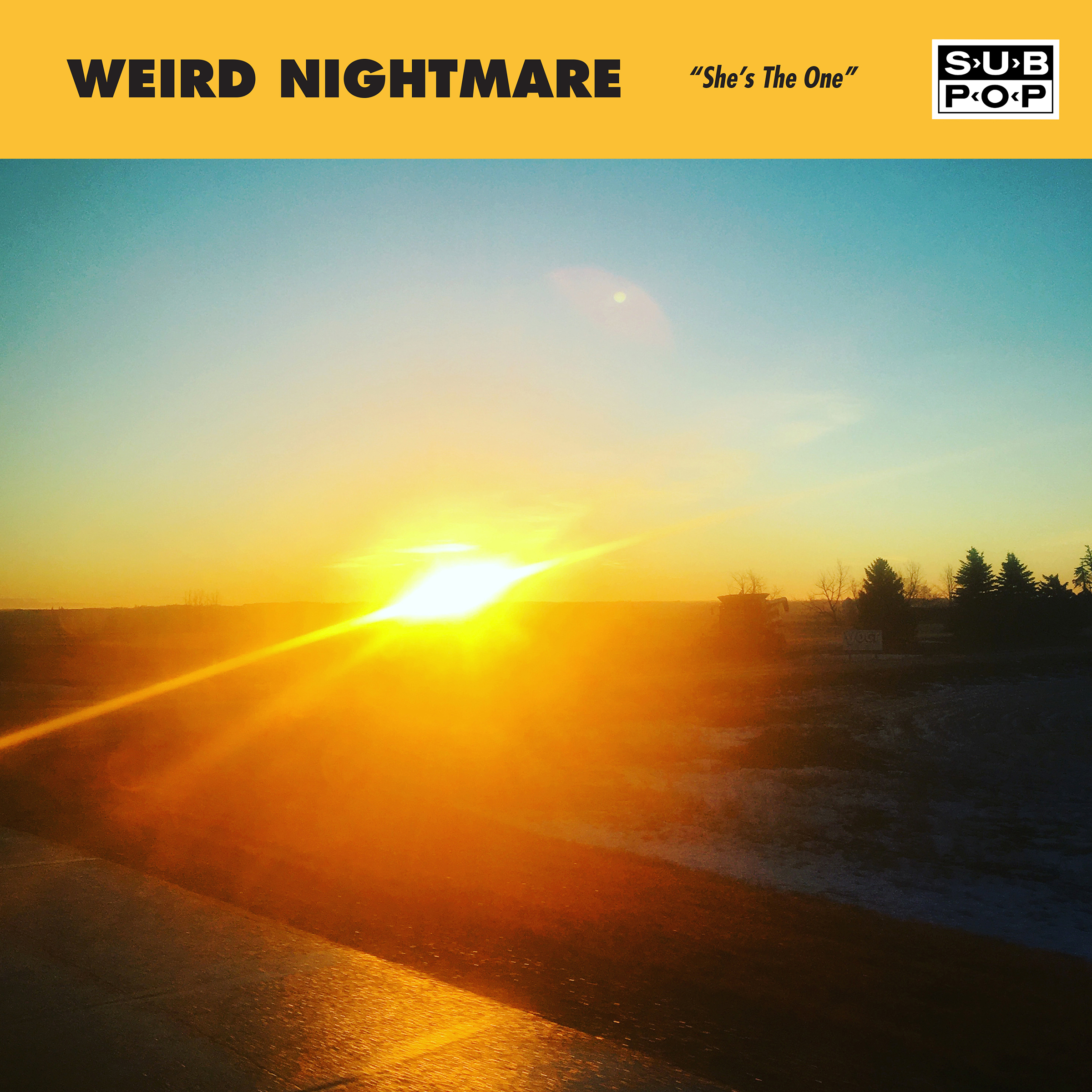 Weird Nightmare Covers the Ramones’ “She’s the One” in Sub Pop Records News