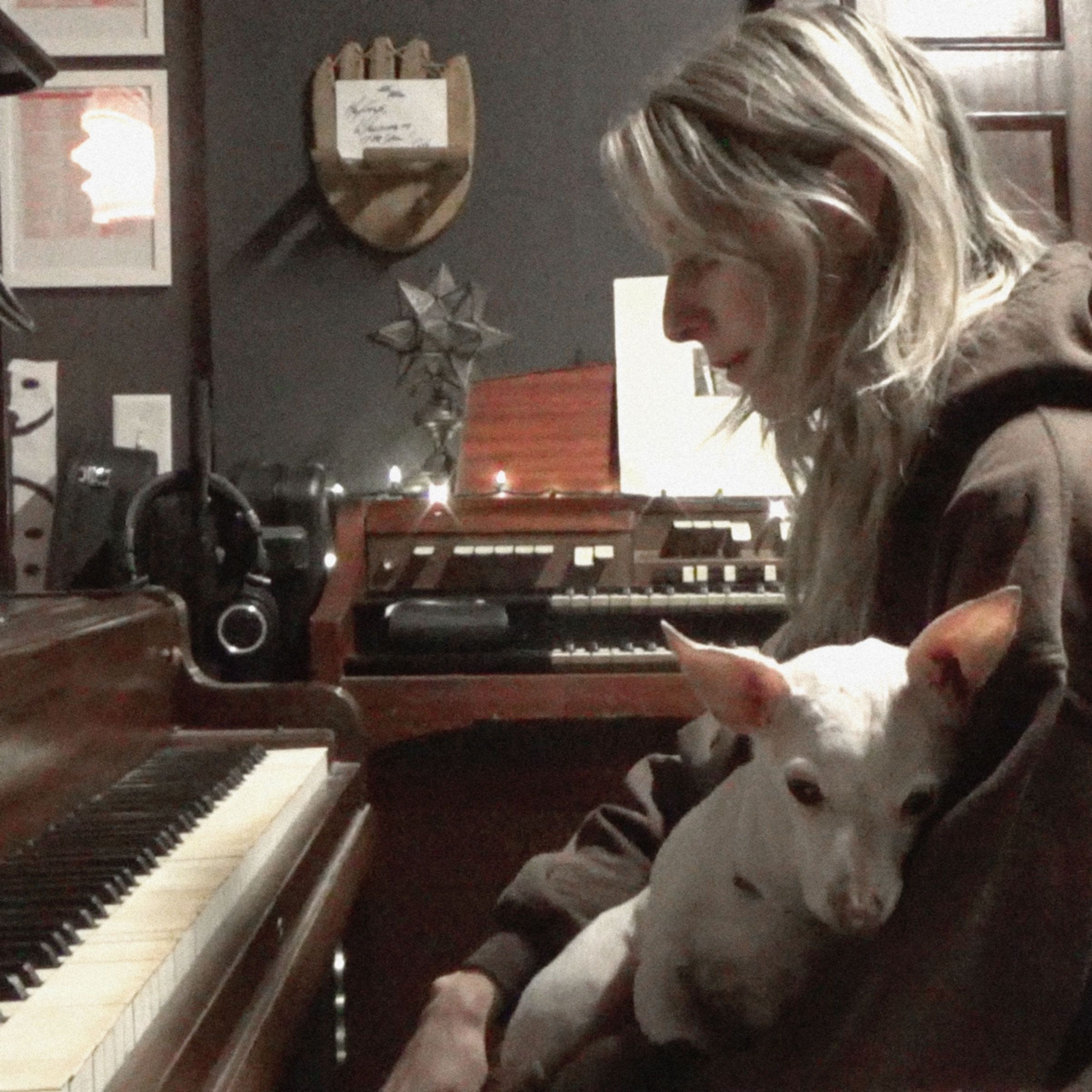 Sub Pop Records News